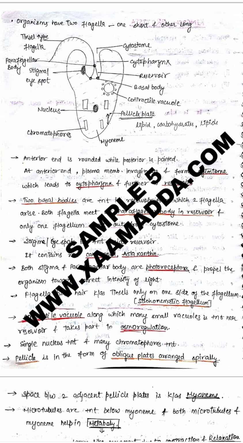 Handwritten NEET Notes - XaamAdda