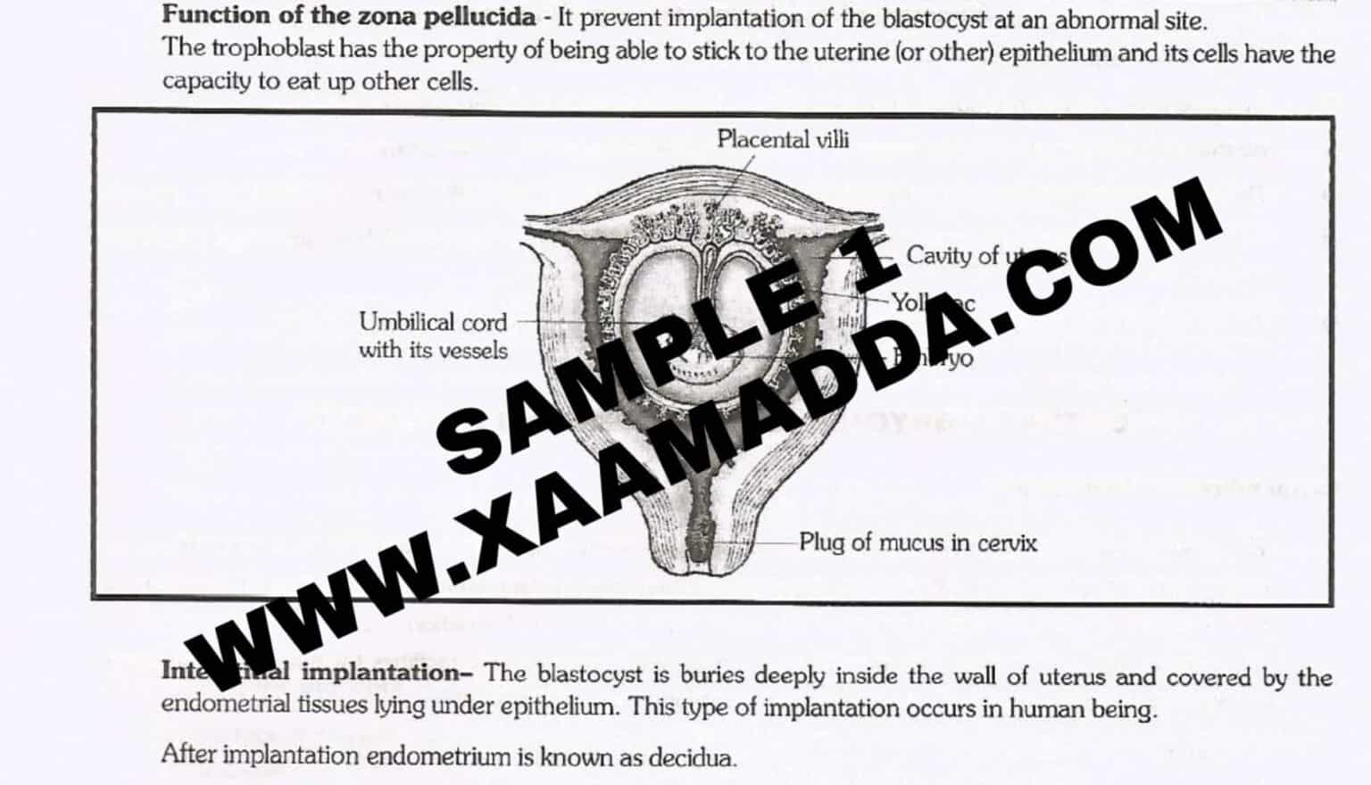 ALLEN Study Material NEET 2024 - XaamAdda ALLEN Study Material NEET 2024 - XaamAdda