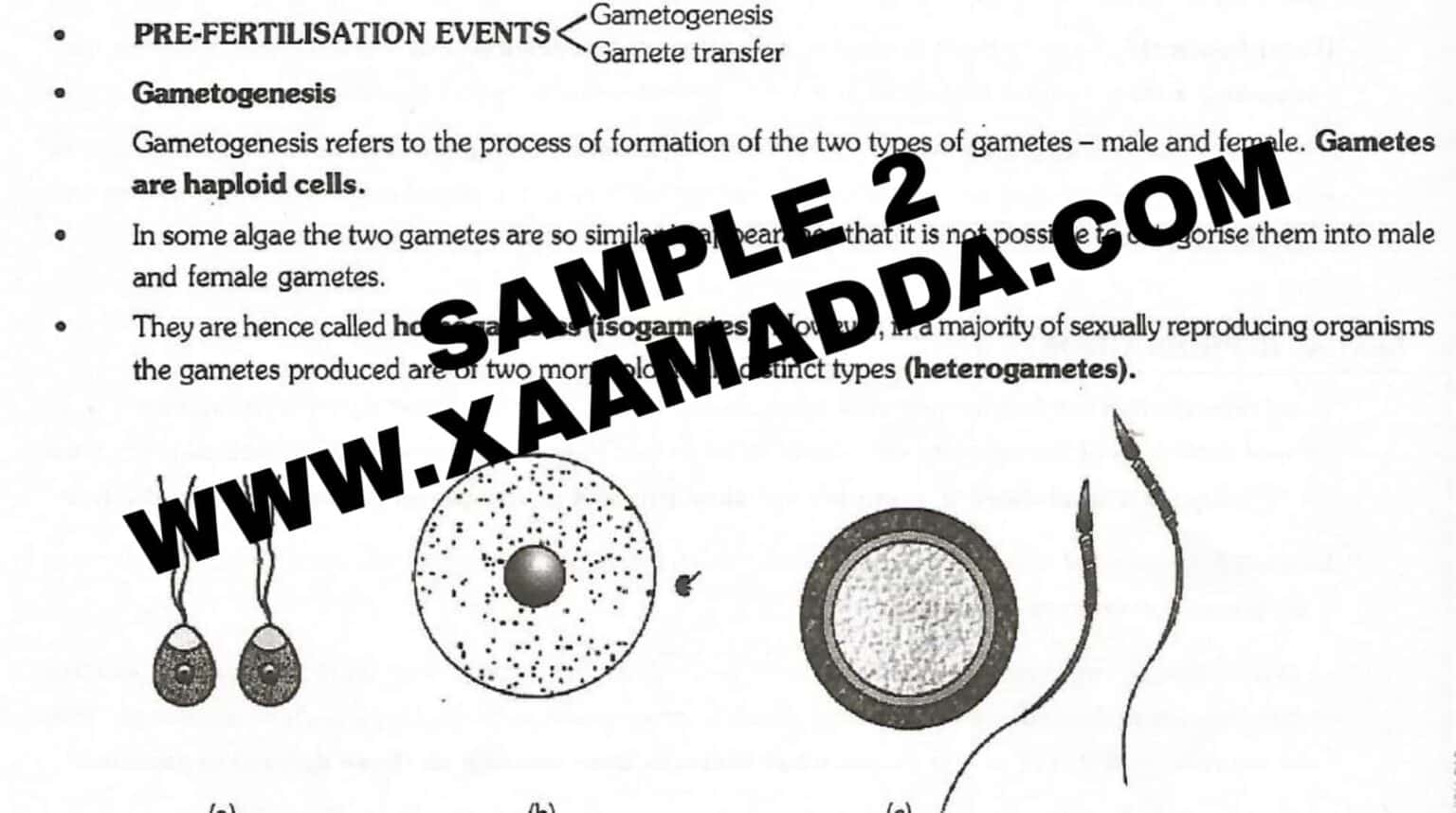 ALLEN Study Material NEET 2024 - XaamAdda ALLEN Study Material NEET 2024 - XaamAdda